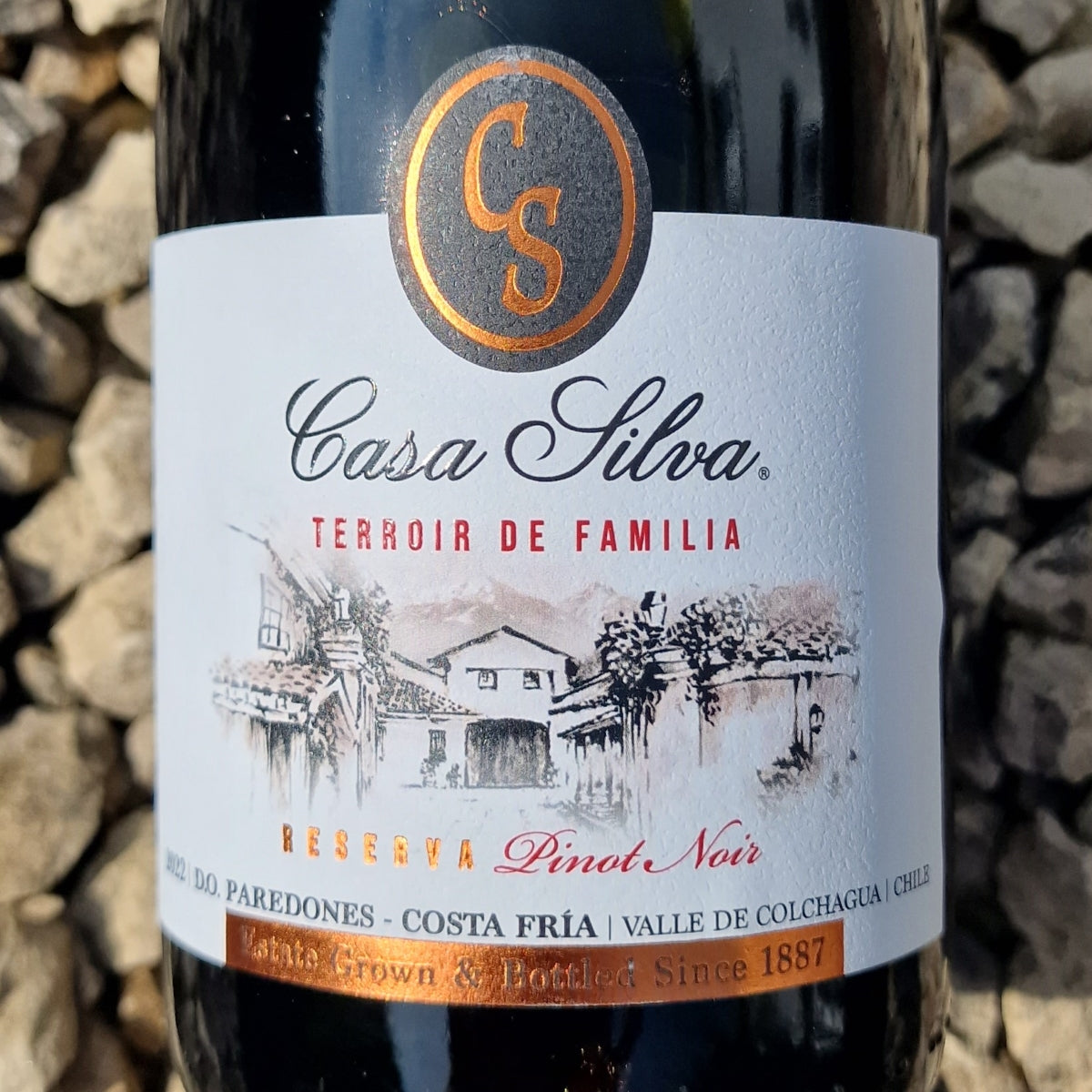 Chile — Addison Wines