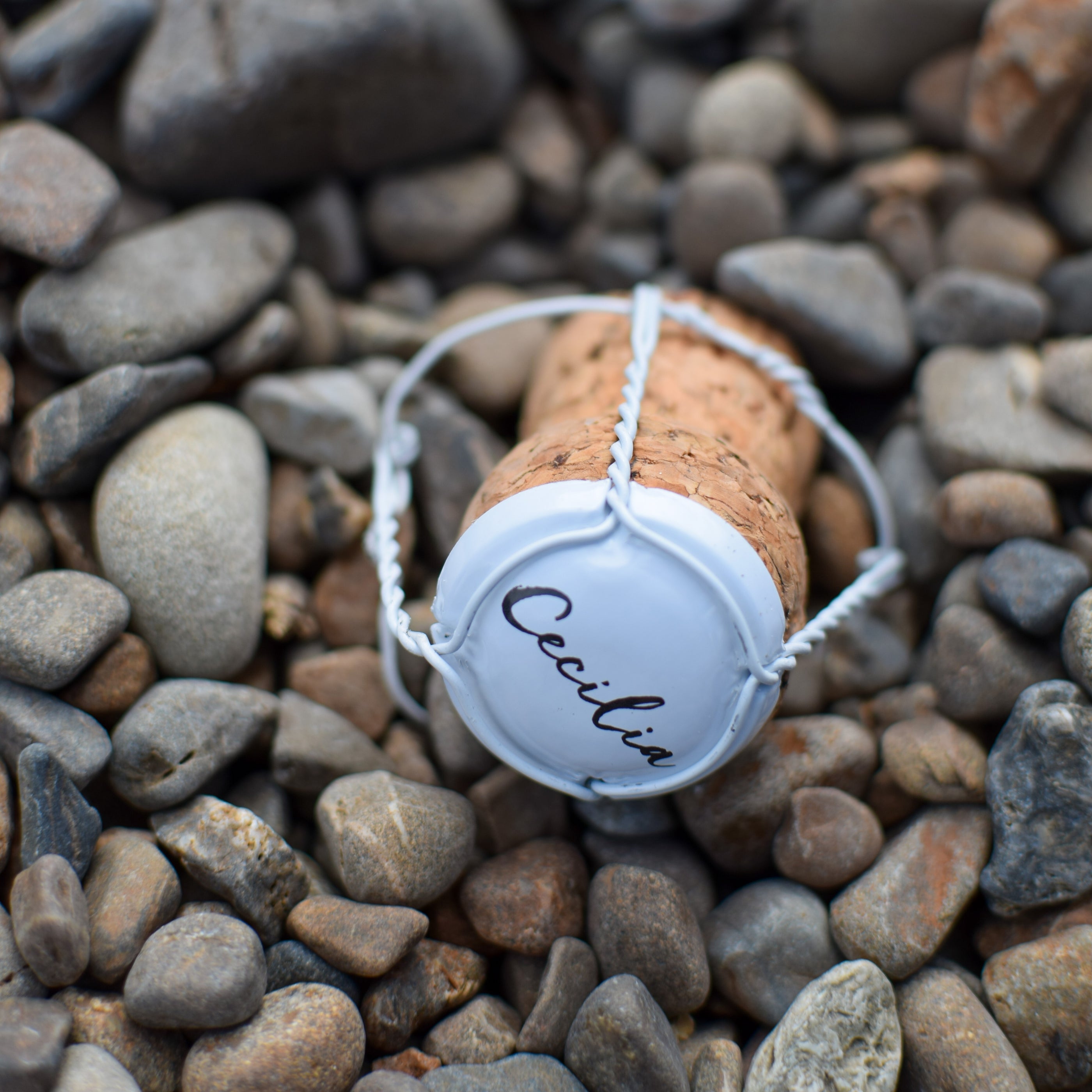 Allan Scott Cecilia Sparkling Rosé — Addison Wines