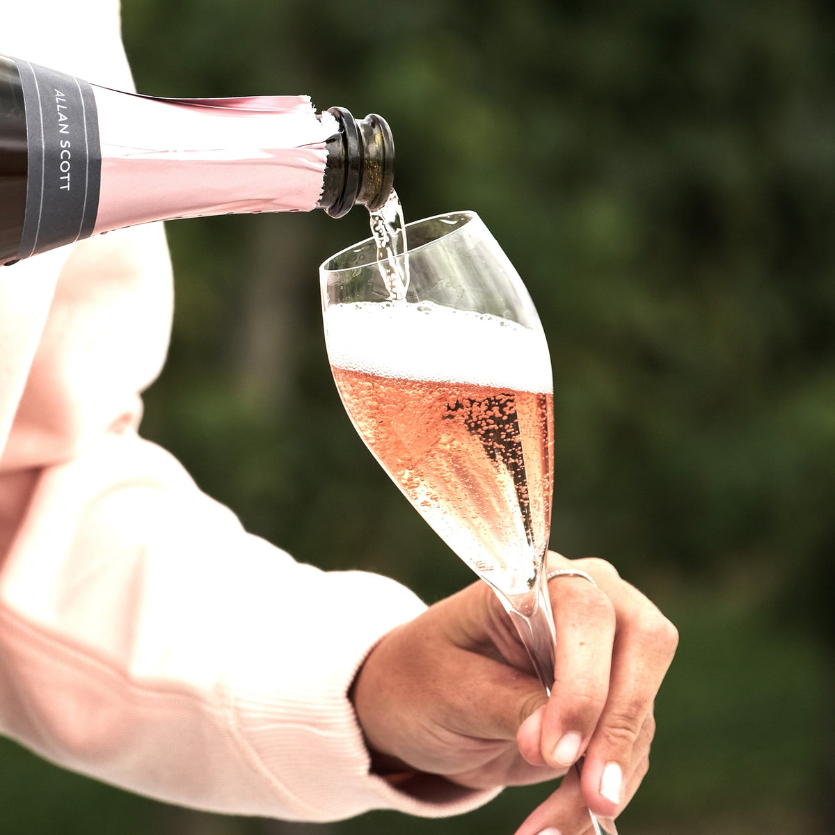 Allan Scott Cecilia Sparkling Rosé — Addison Wines
