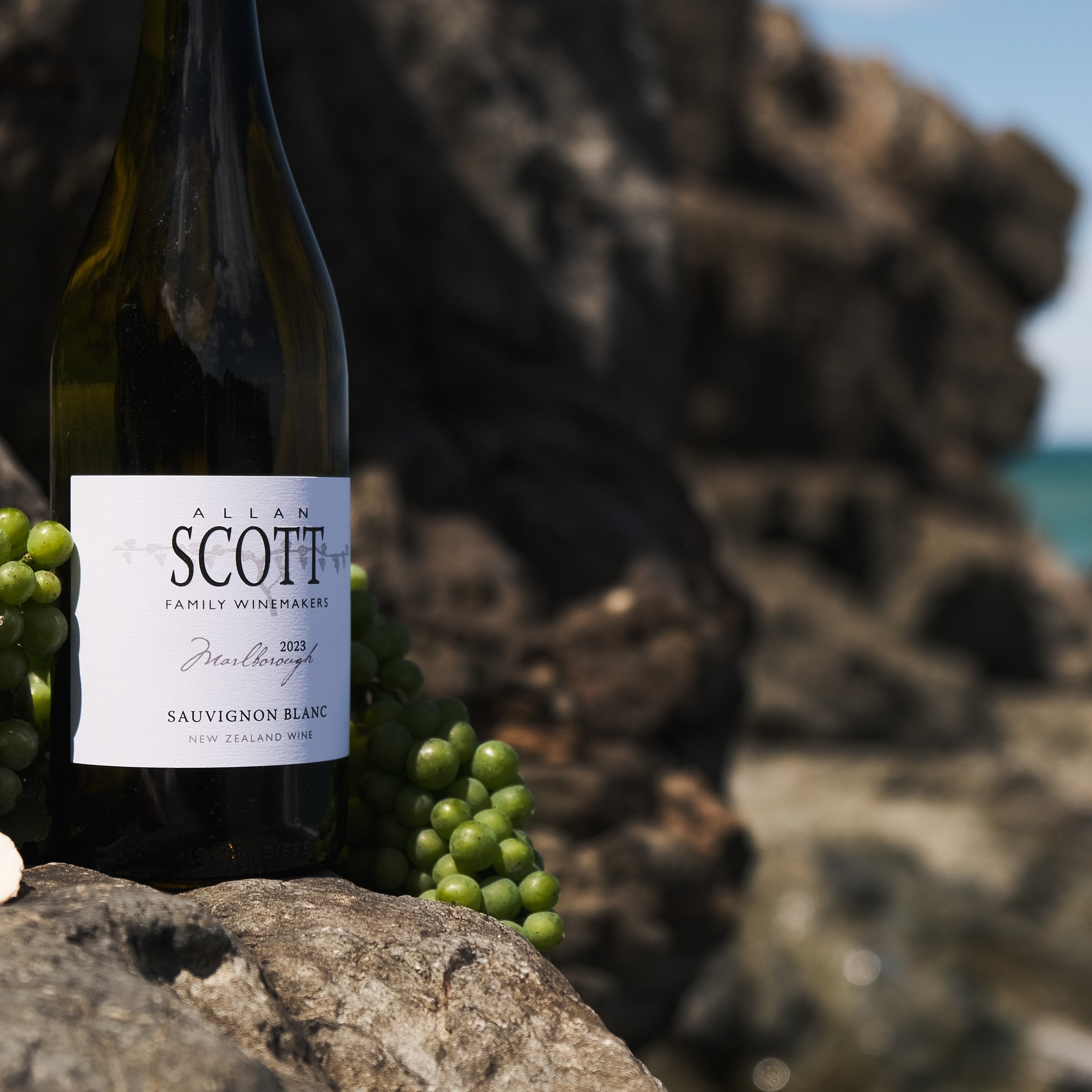 Allan Scott Estate Sauvignon Blanc — Addison Wines