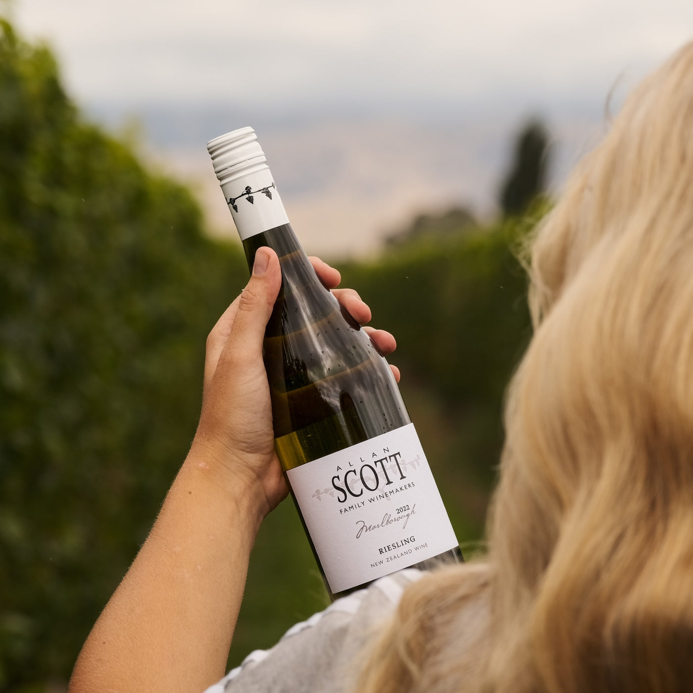 Allan Scott Estate Riesling — Addison Wines