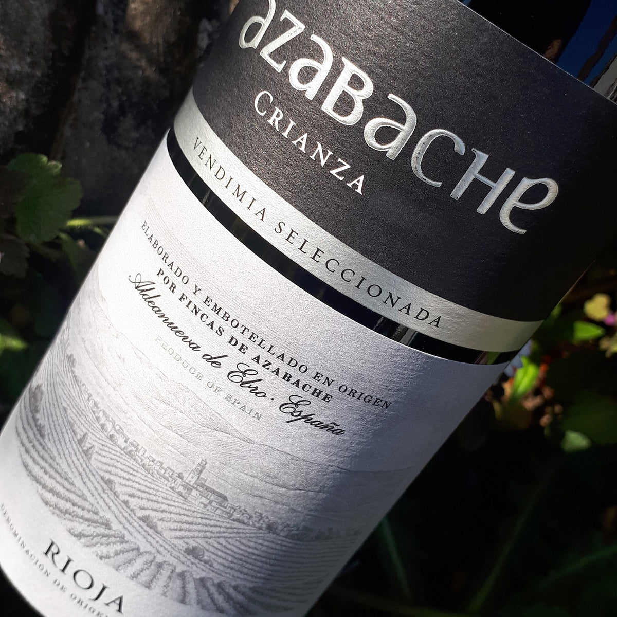 Azabache Rioja Crianza — Addison Wines