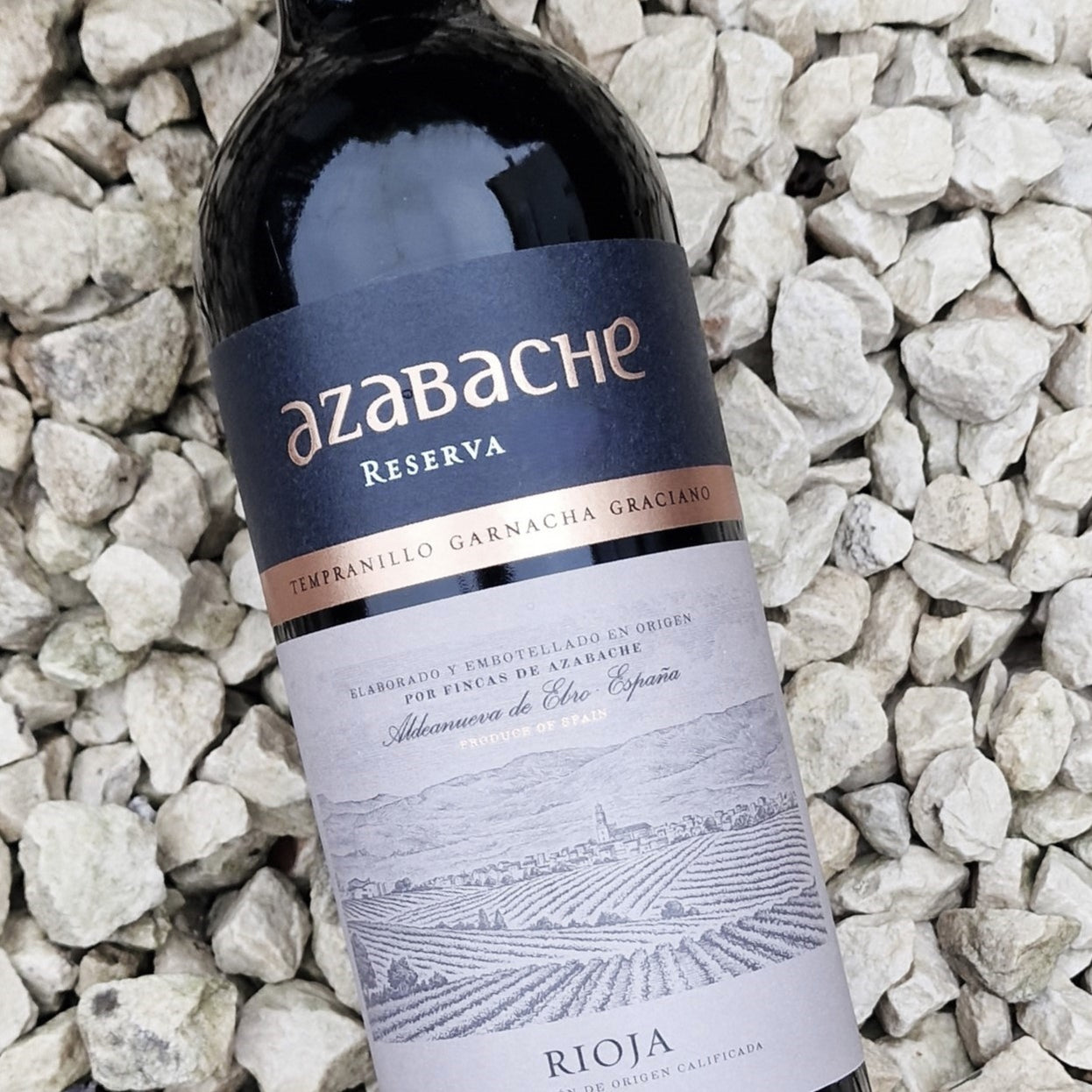 Azabache Rioja Reserva — Addison Wines