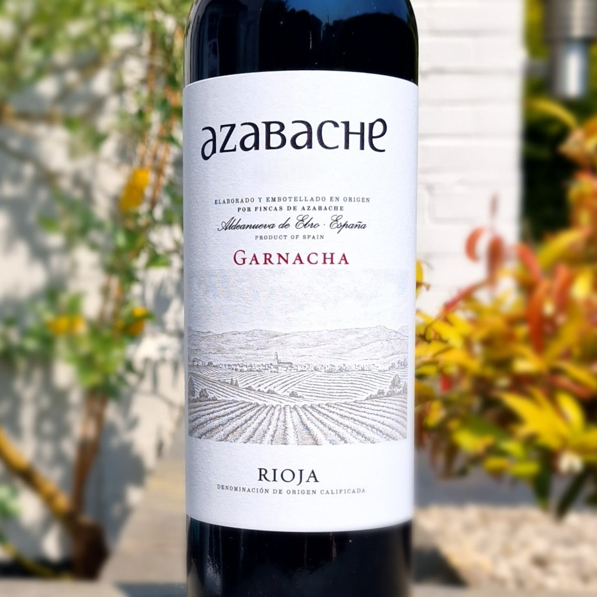 Azabache Rioja Garnacha Tinto — Addison Wines