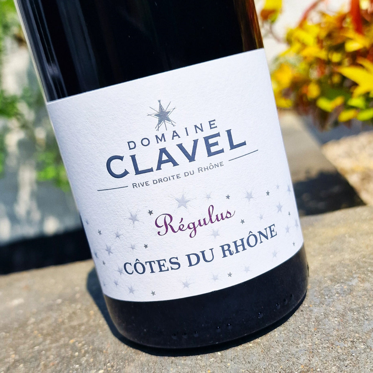 Côtes du Rhône Regulus Rouge, Domaine Clavel — Addison Wines