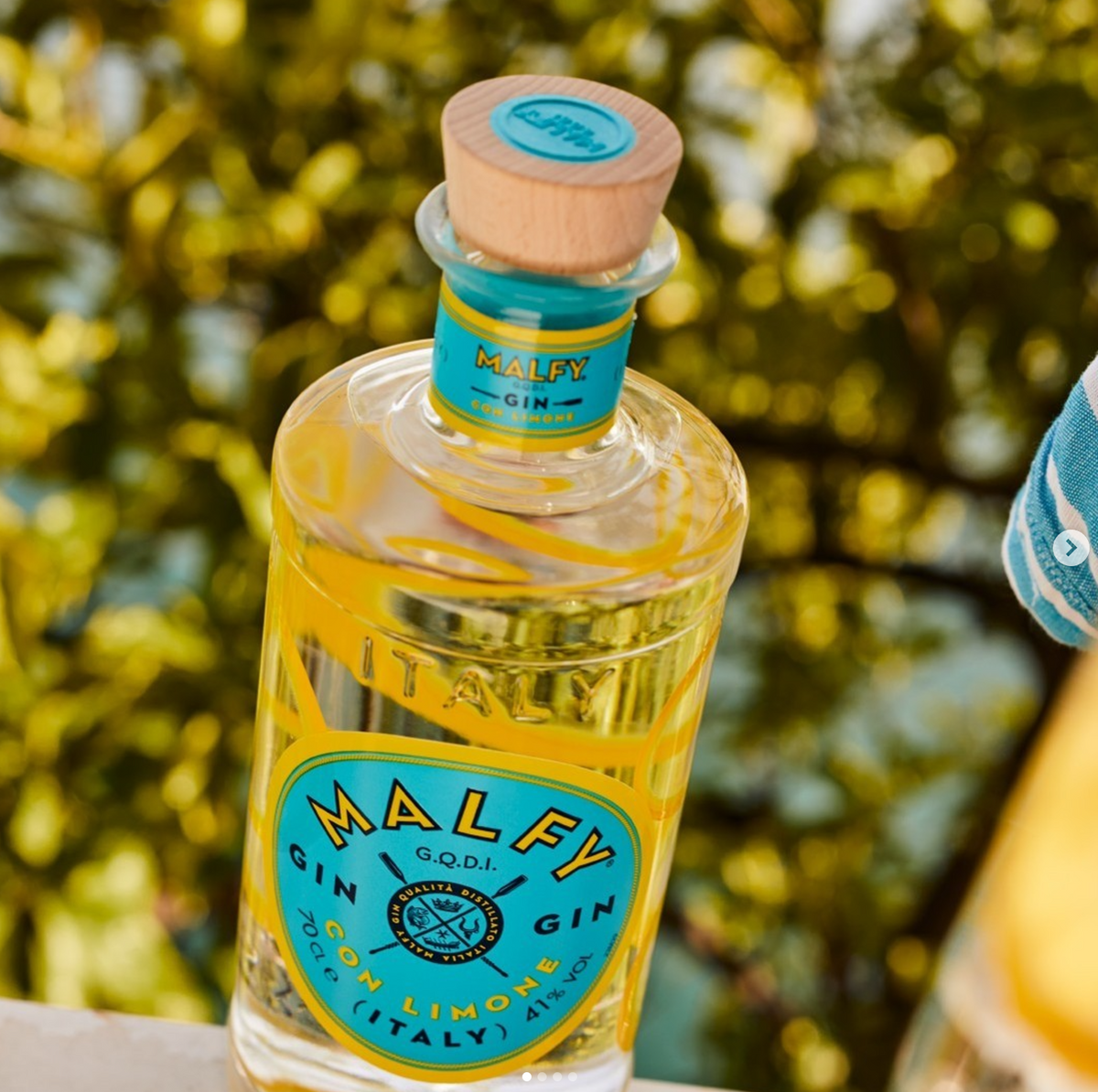 Malfy Con Limone Gin — Addison Wines