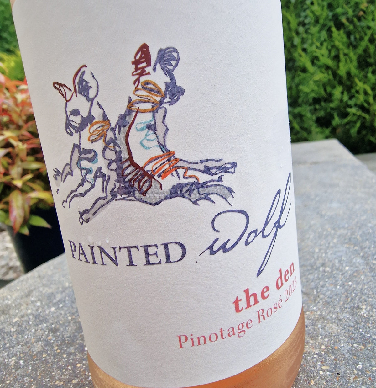 The Den Pinotage Rosé, Painted Wolf Wines — Addison Wines