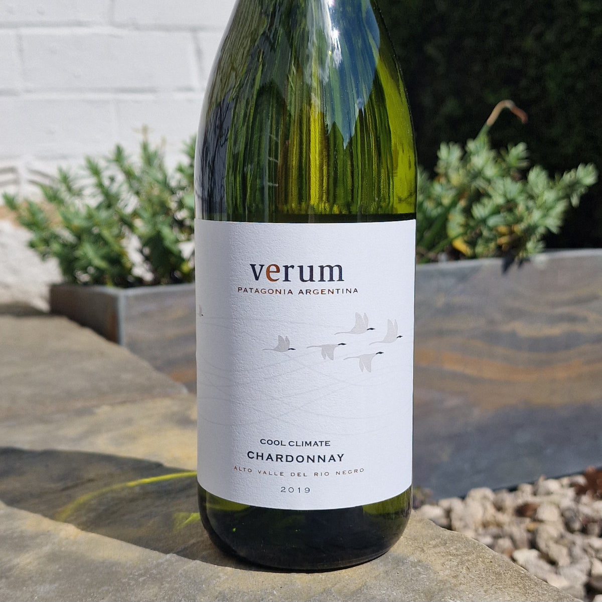 Verum Chardonnay, Bodega del Rio Elorza — Addison Wines