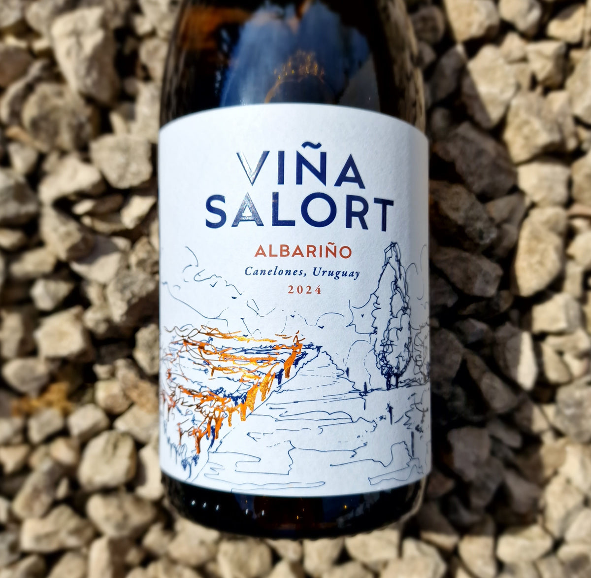Vina Salort Albarino — Addison Wines